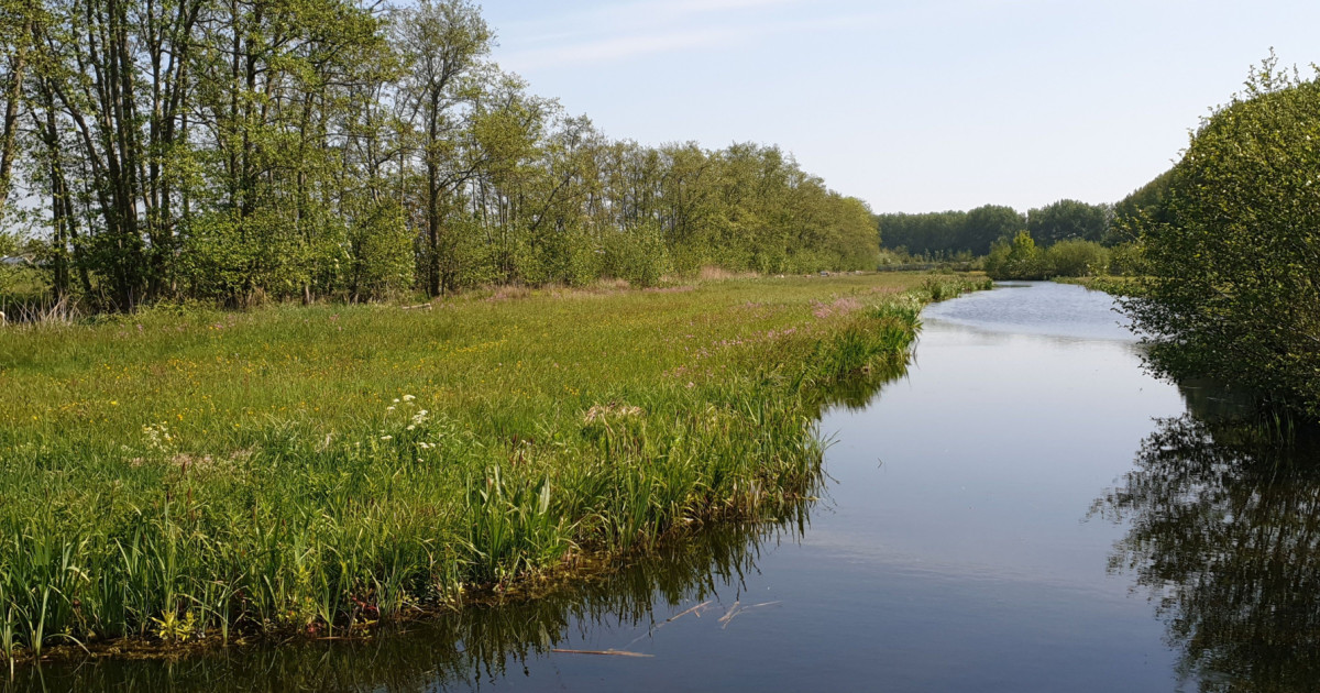 Kleine landschapselementen