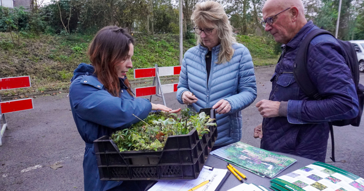 Rijpwetering en Oud Ade Kleuren Groener: 160 Inwoners Doen Mee aan ...