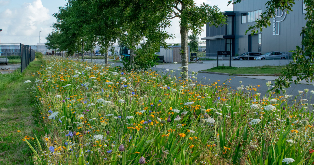 Kleurrijke transformatie op het ITC-terrein in Hazerswoude-Dorp