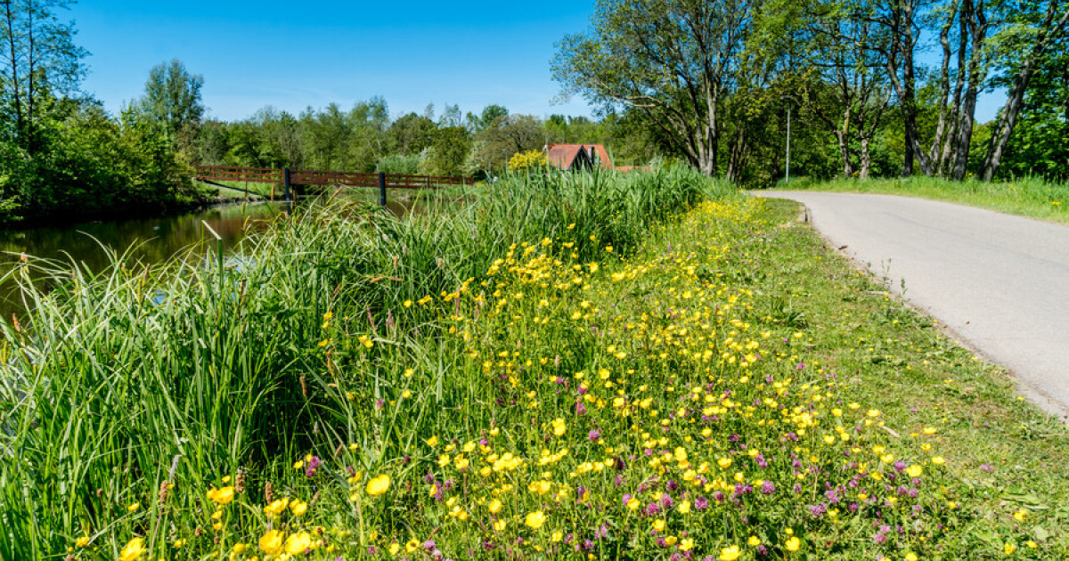 Insectenrijkdom op binnendijken